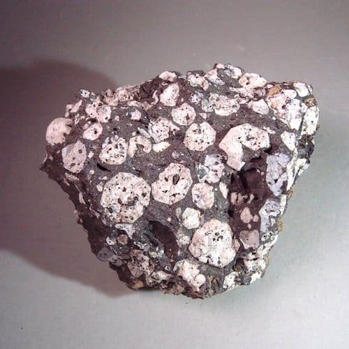 LEUCITE CRYSTALS IN LAVA - Italy