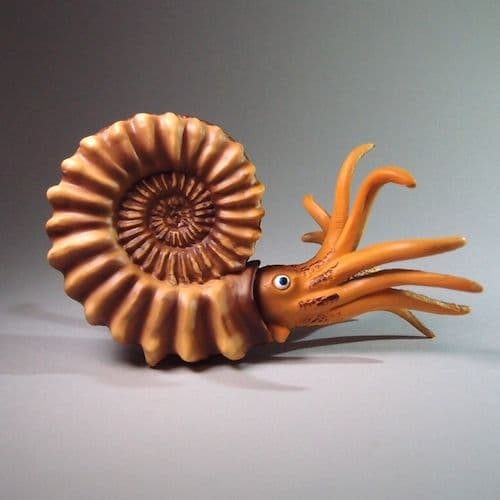 MODEL OF AN AMMONITE AS IT MIGHT HAVE LOOKED IN LIFE