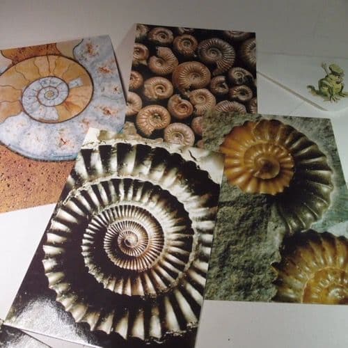 PACK OF EIGHT BRITISH AMMONITE POSTCARDS FOUR DIFFERENT TYPES