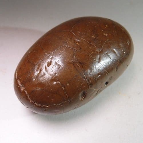 PHOSPHATIC NODULE WITH A GORGEOUS NATURAL POLISH - Red Crag - Walton-on ...