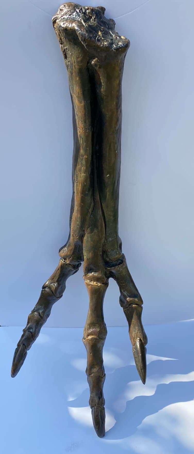 REPLICA OF T REX FOOT BONES COMPLETE FOOT SECOND HAND