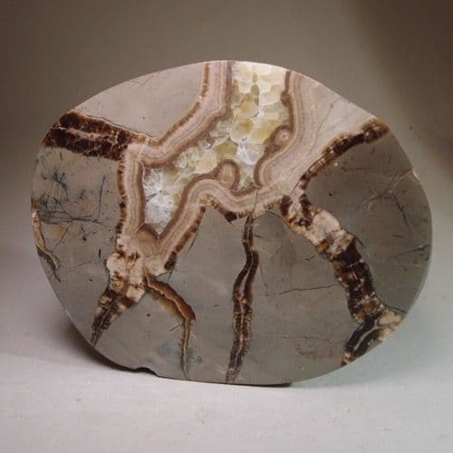 SEPTARIA cut and polished - Isle of Skye Scotland
