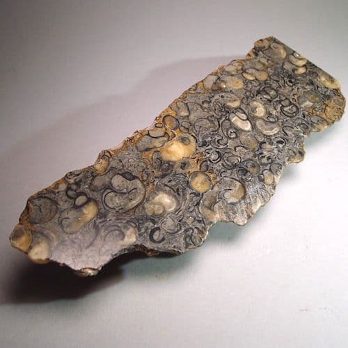 SUSSEX MARBLE - Petworth West Sussex