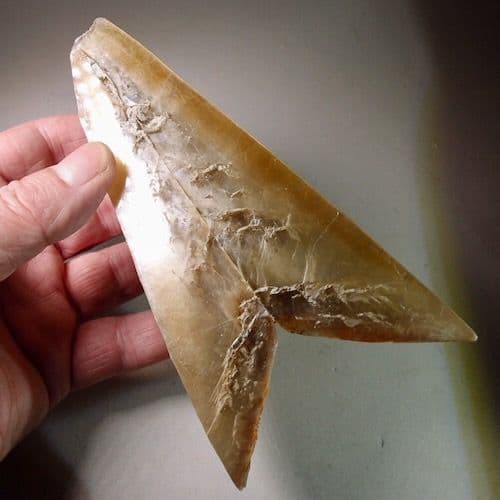 SWALLOW-TAIL SELENITE CRYSTALS - France