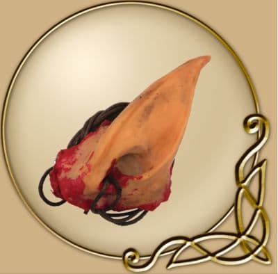Elven trophy ear