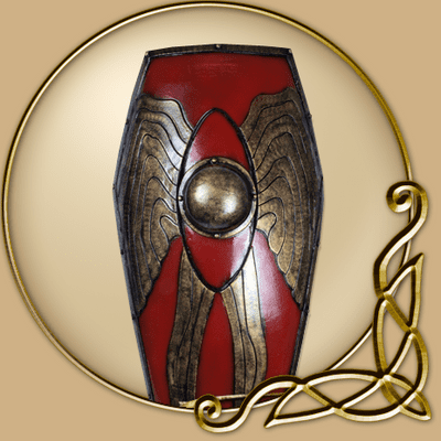 LARP Shields