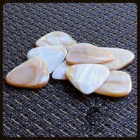 Shell Tones - Mussel Shell - 4 Guitar Picks | Timber Tones