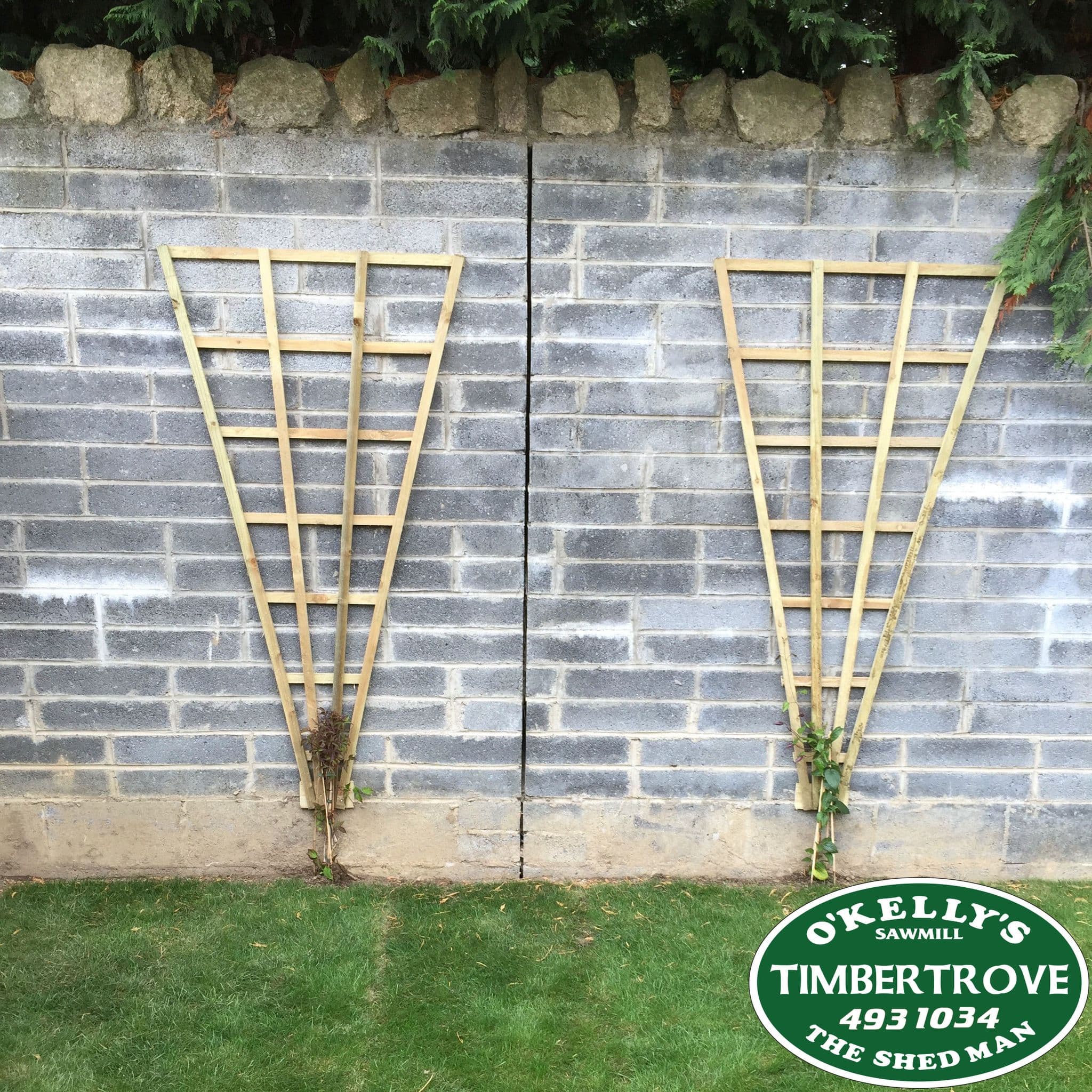 Garden Trellis | Timber Trellis for Garden Design