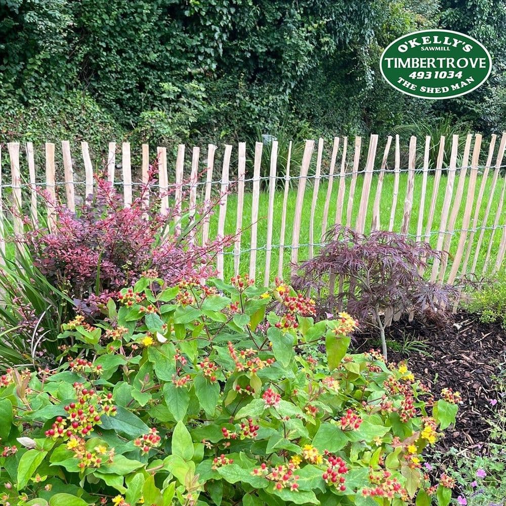 Chestnut Paling Fencing | Roll Fencing