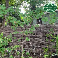 Hazel Wood Fence Panel | Natural Willow Fencing