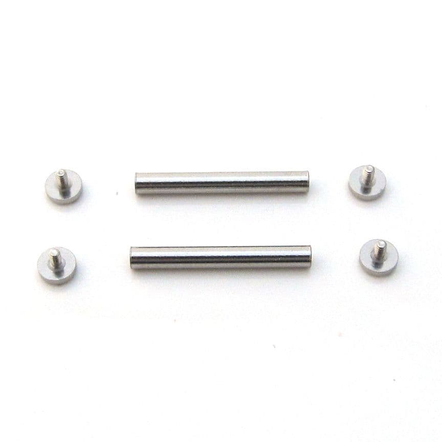 For Calvin Klein K1S21102 TUBES SCREWS Watch Lug Strap Band Stainless Steel