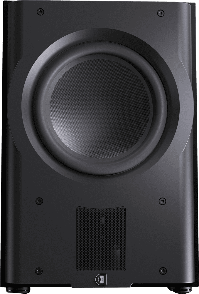 Perlisten Audio R212s subwoofer