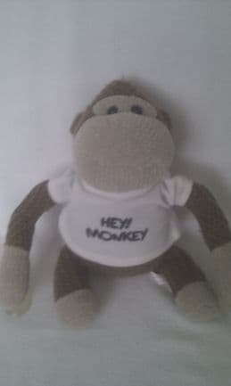 Adorable Hey Monkey Car Plush Toy