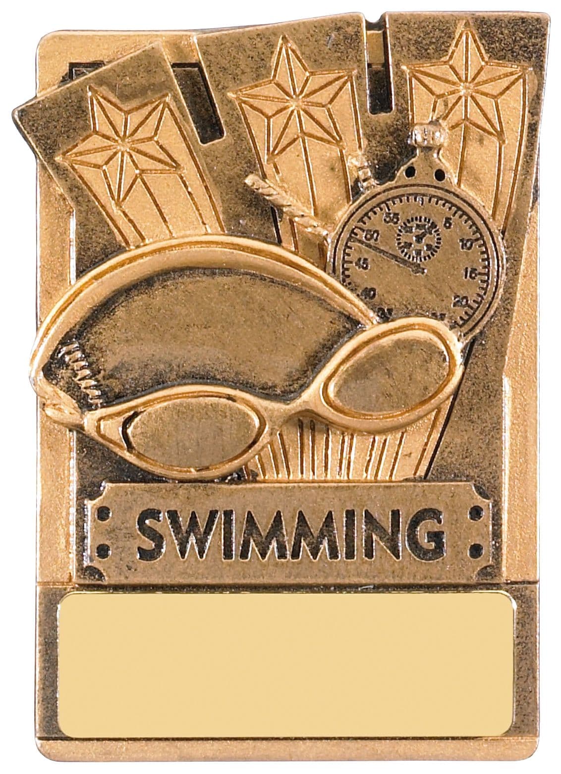 Swimming Fridge Magnet