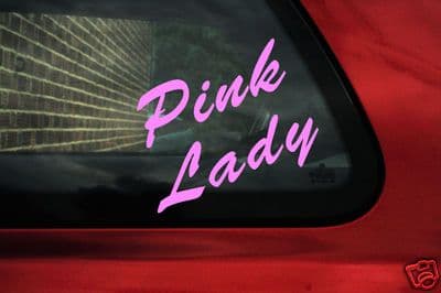 2x Pink Lady girly car stickers