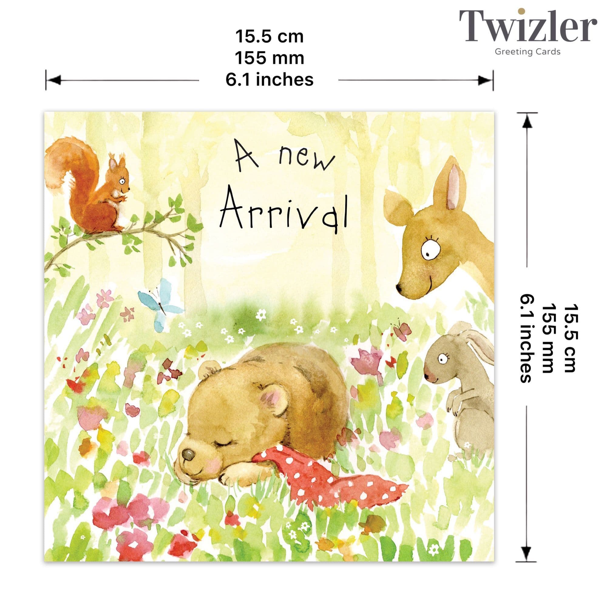 New Baby Cards. New Baby Girl Cards. New Baby Boy Cards ...