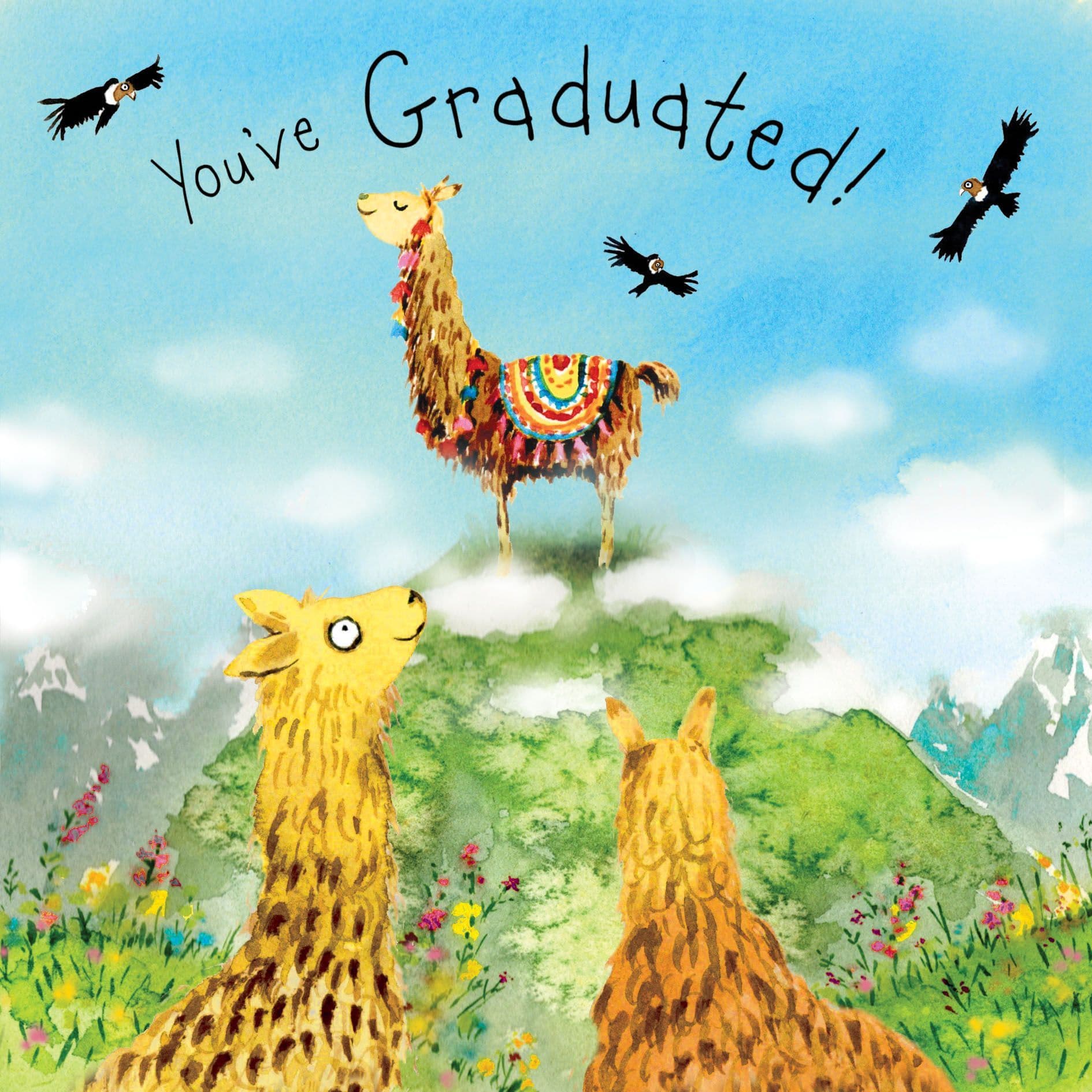 Graduation Cards. You Passed Cards. Congratulations Cards. Well Done ...