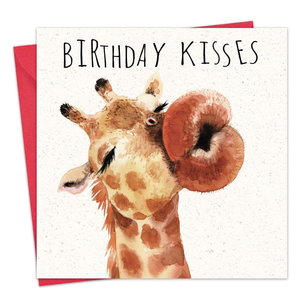Funny Cards. Funny Birthday Cards. Humour Cards. Funny Animal Cards ...