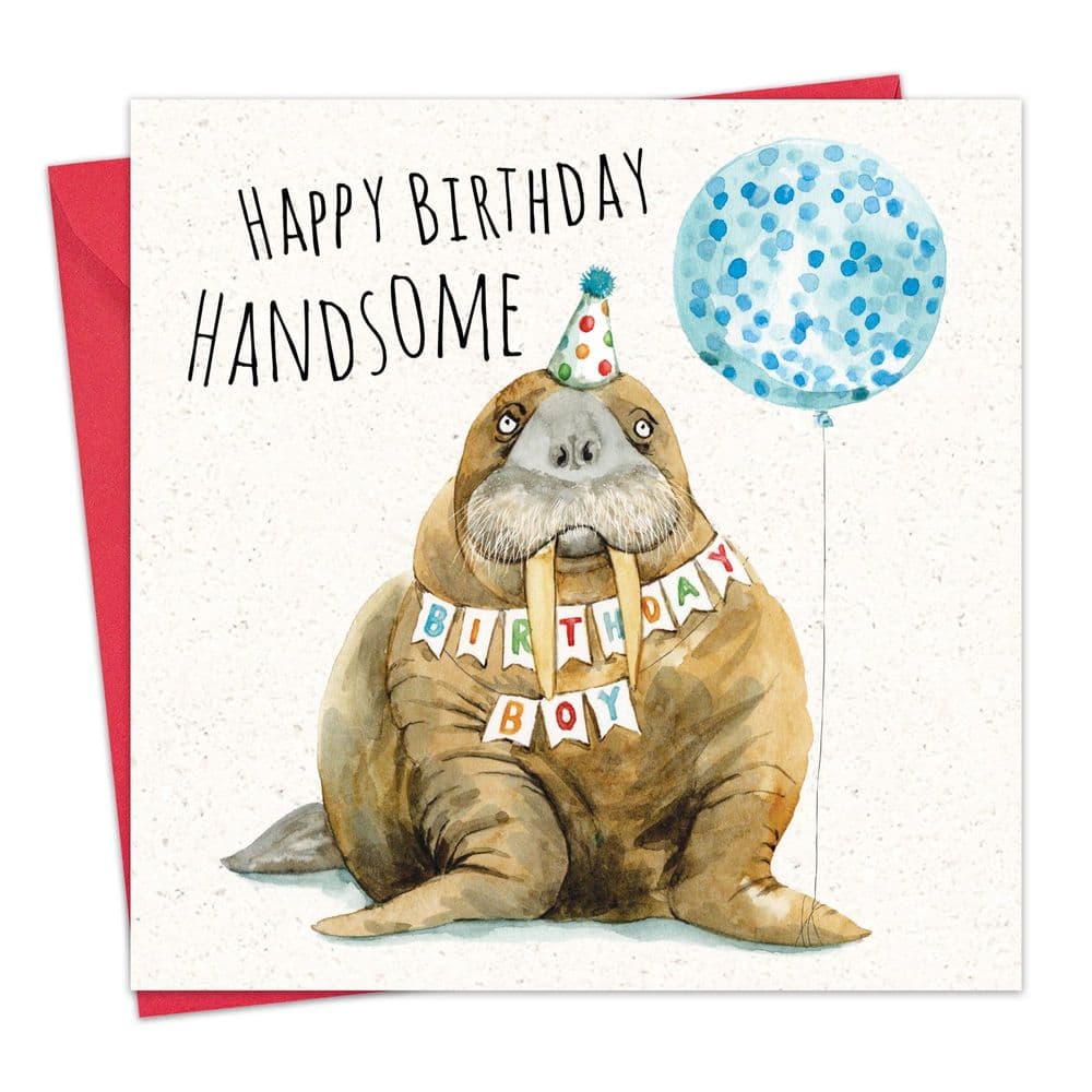 Funny Cards. Funny Birthday Cards. Humour Cards. Funny Animal Cards ...
