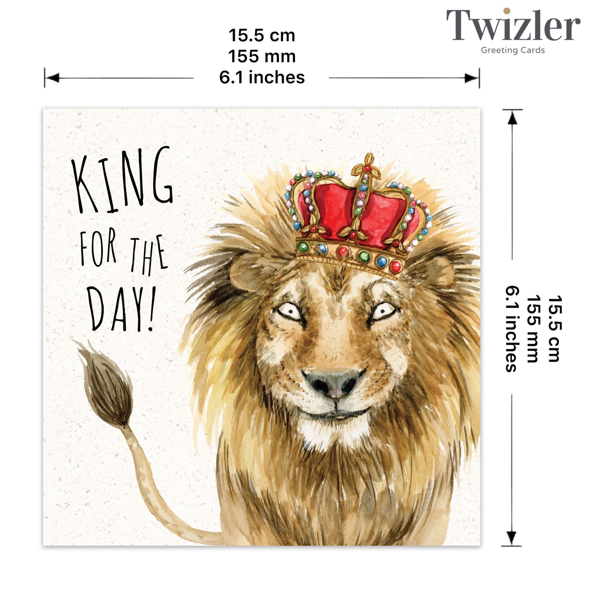 Lion King Birthday Memes