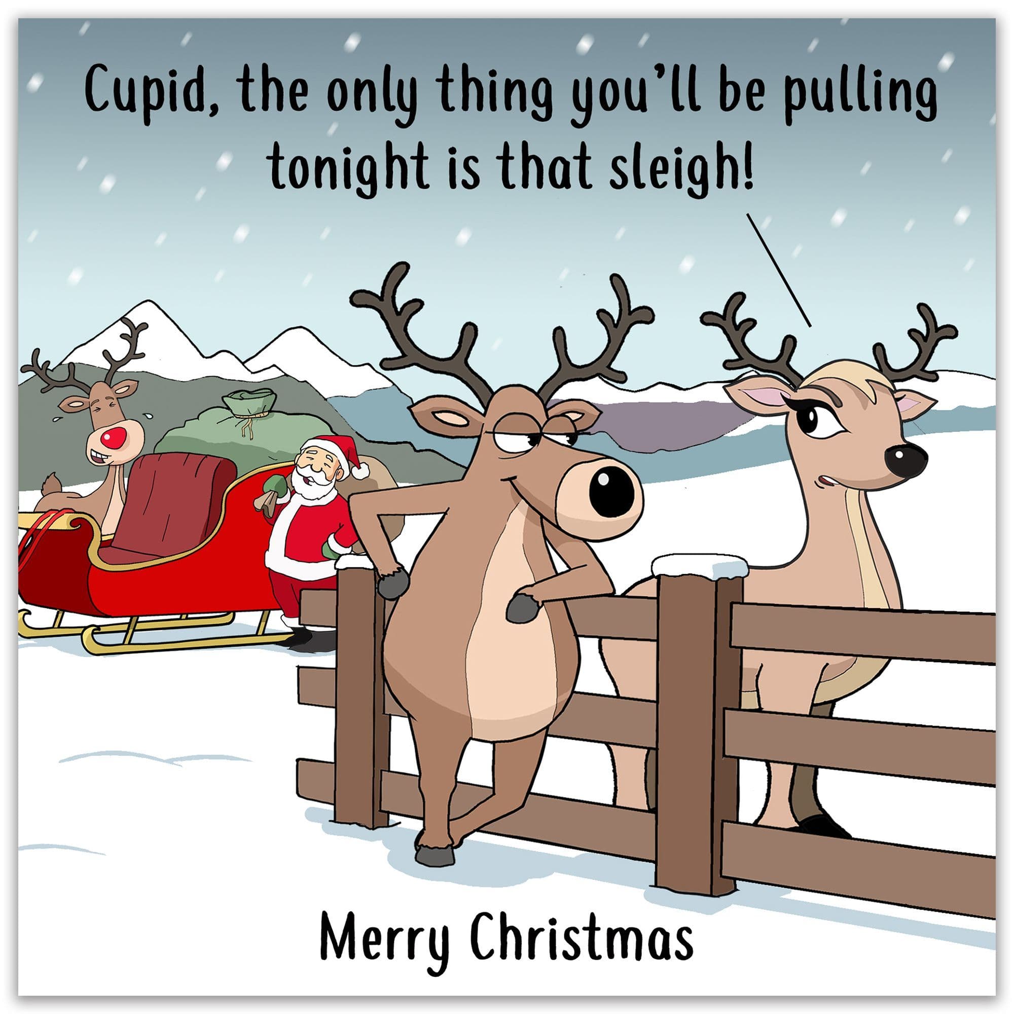 Funny Christmas Cards. Funny Cards. Humour Cards. Humour Christmas ...