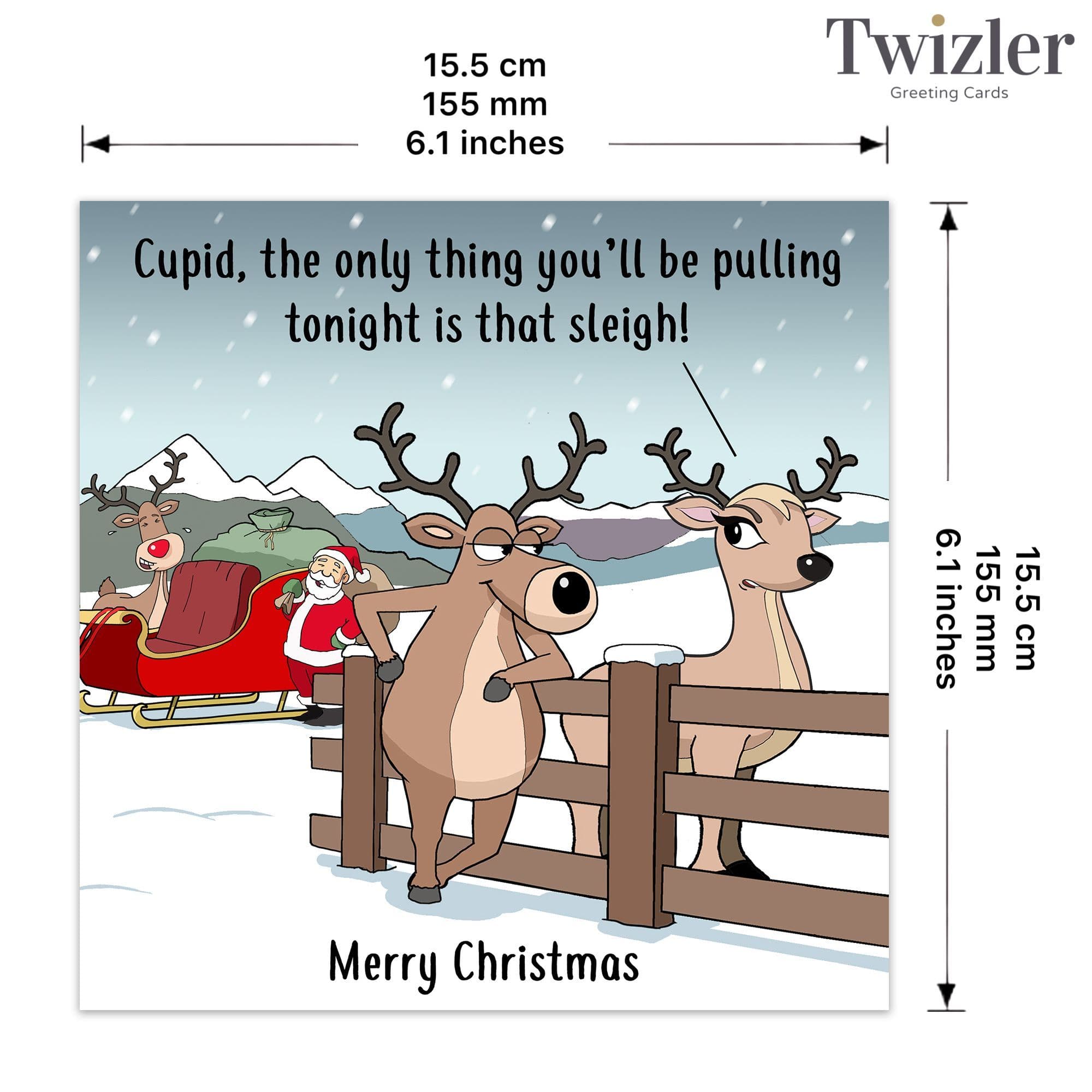 Funny Christmas Cards. Funny Cards. Humour Cards. Humour Christmas ...