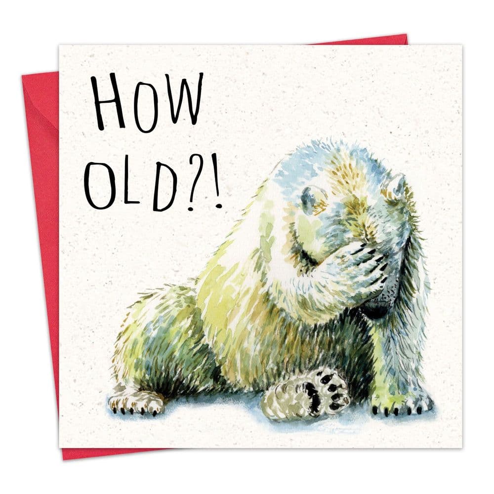 Funny Cards. Funny Birthday Cards. Humour Cards. Funny Animal Cards ...