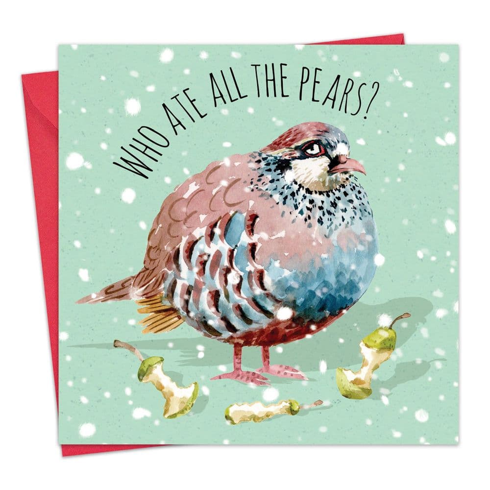 Funny Christmas Cards. Funny Cards. Humour Cards. Humour Christmas ...