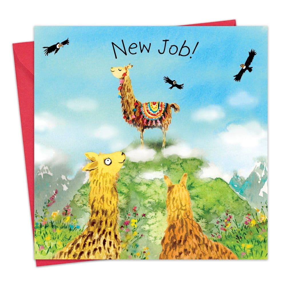 New Job Cards. Cute Cards. Animal Cards. Cute Greetings Cards. Twizler