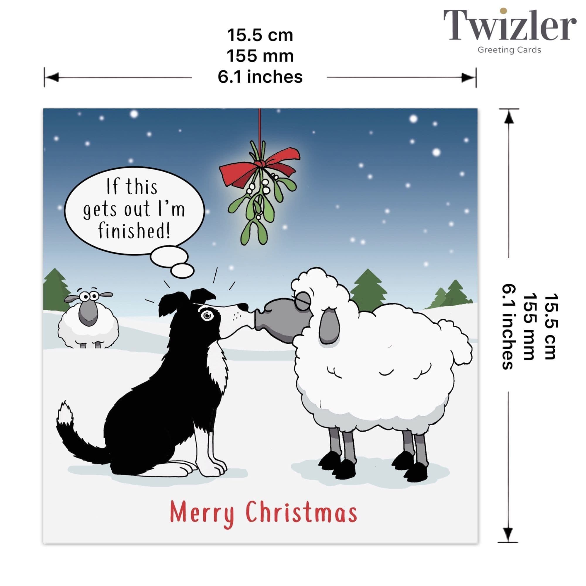 Pack of 10 Funny Christmas Cards Pack. Xmas Multipack. Funny Cards ...