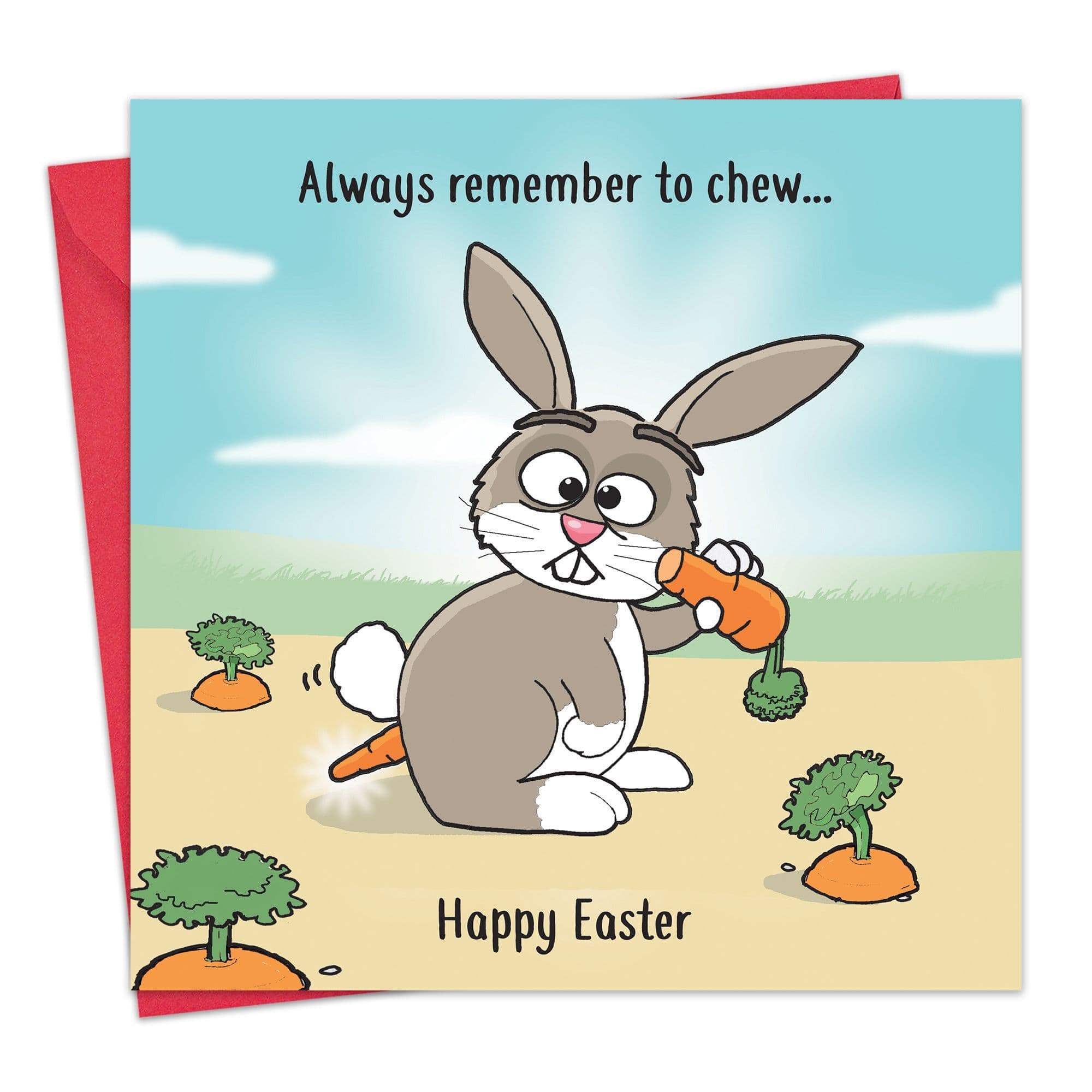Funny Easter Card Packs. Humour Easter Cards. Happy Easter Greeting ...