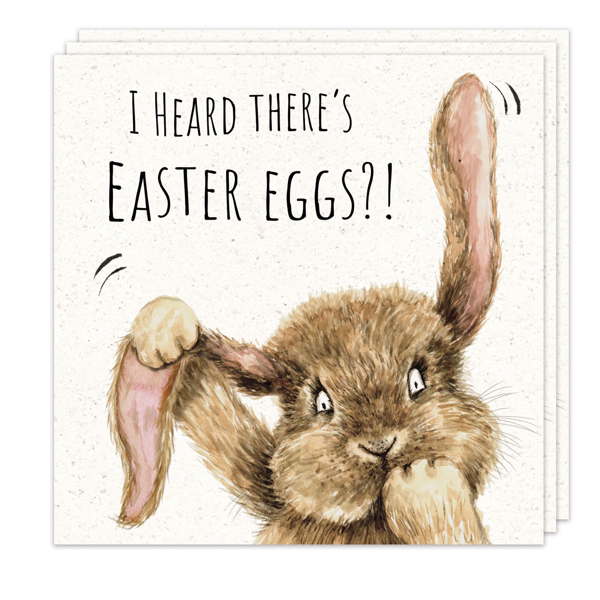 Funny Easter Card Packs. Humour Easter Cards. Happy Easter Greeting ...