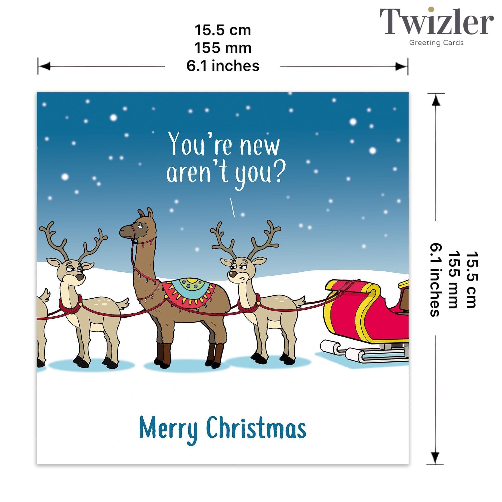 Pack of 6 Funny Christmas Cards Pack. Xmas Multipack. Funny Cards. Humour Cards. Humour ...