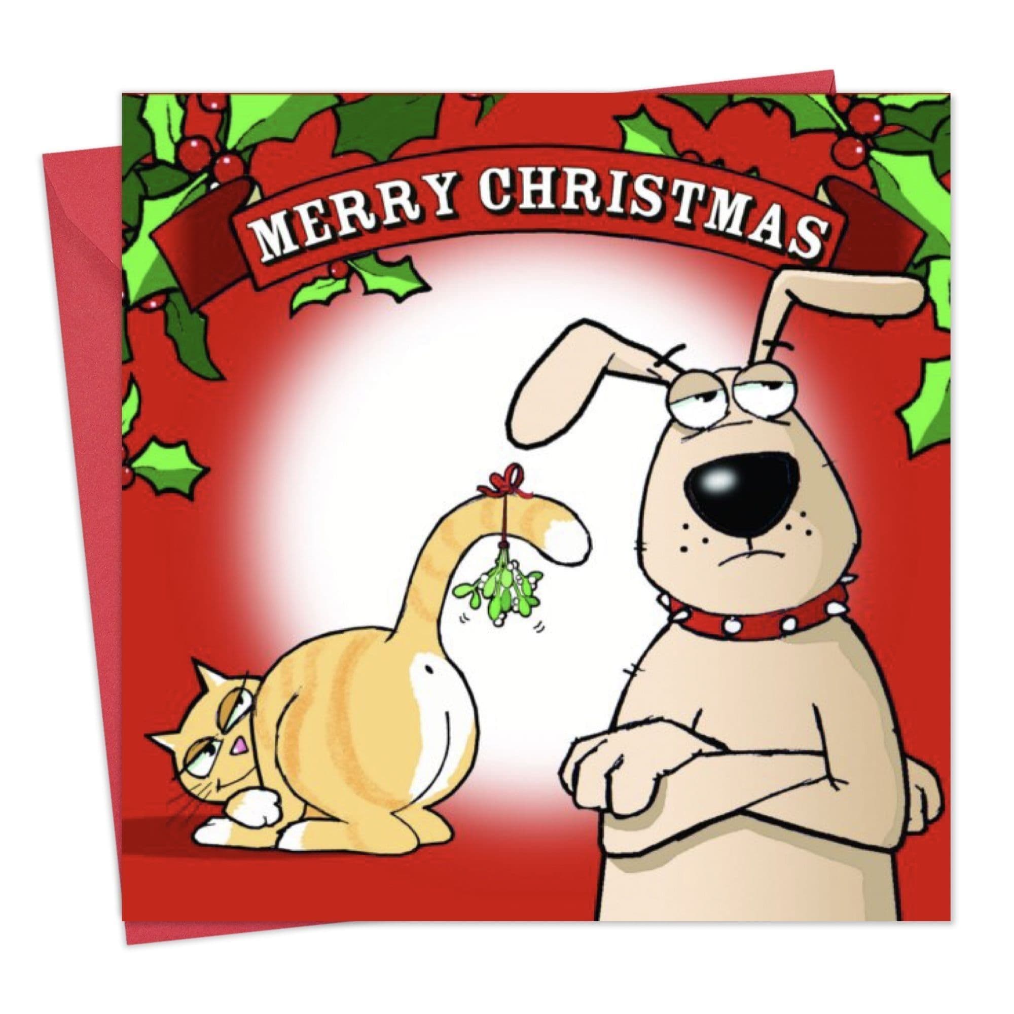 Pack of 6 Funny Christmas Cards Pack. Xmas Multipack. Funny Cards. Humour Cards. Humour ...