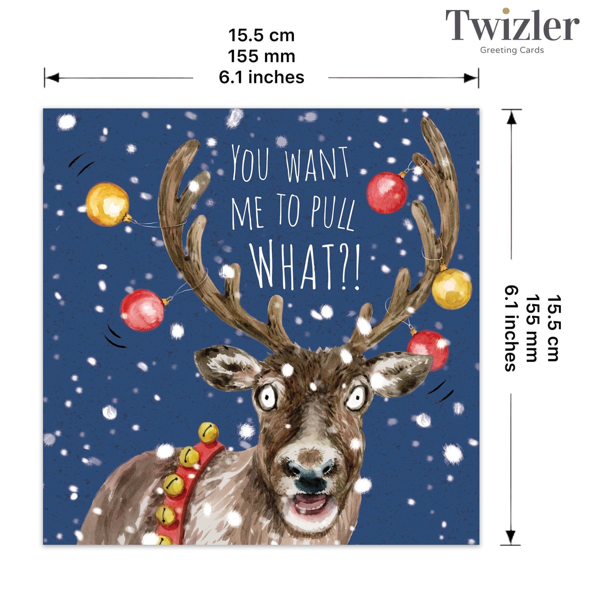 Pack of 6 Funny Christmas Cards Pack. Xmas Multipack. Funny Cards. Humour Cards. Humour ...