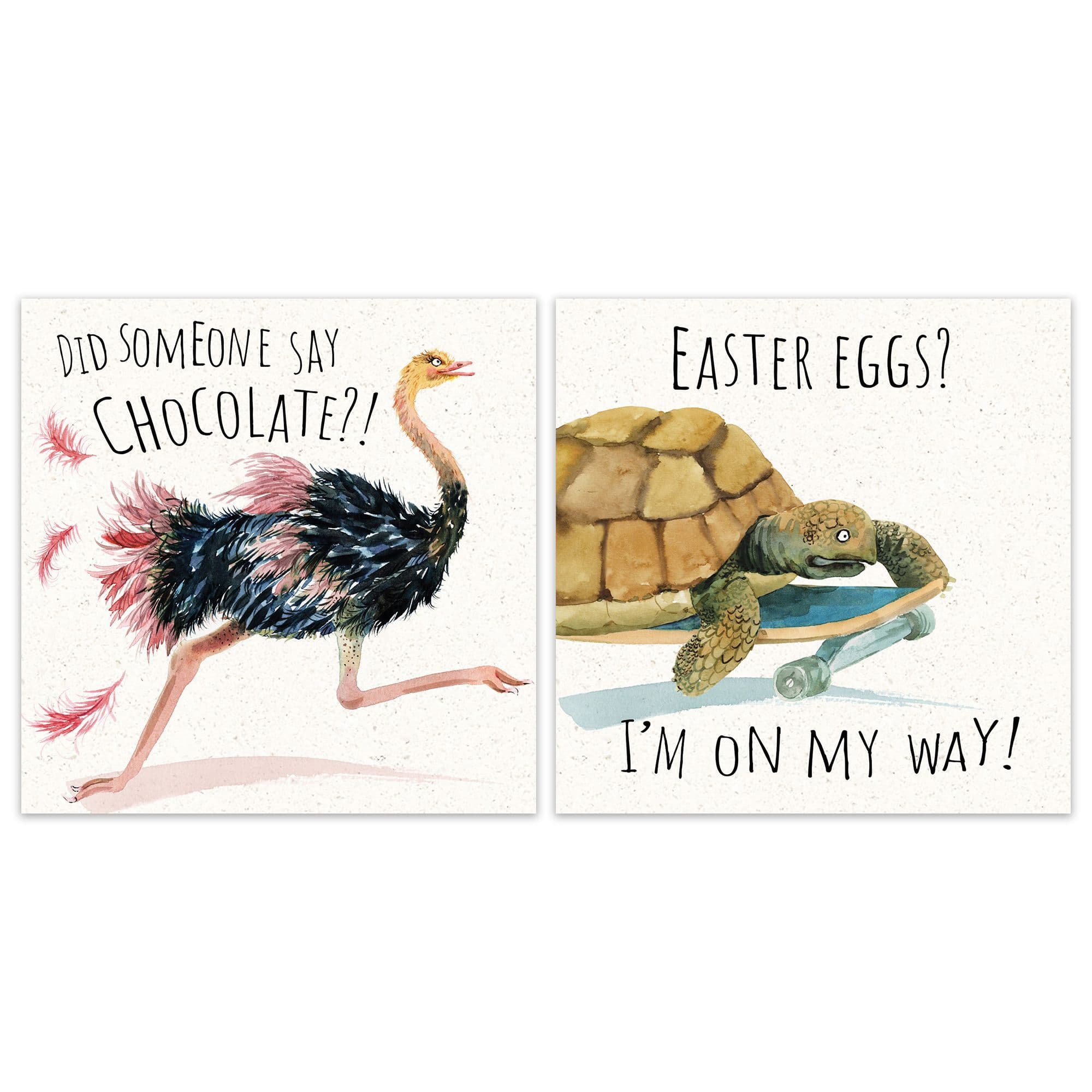 Funny Easter Card Packs. Humour Easter Cards. Happy Easter Greeting ...