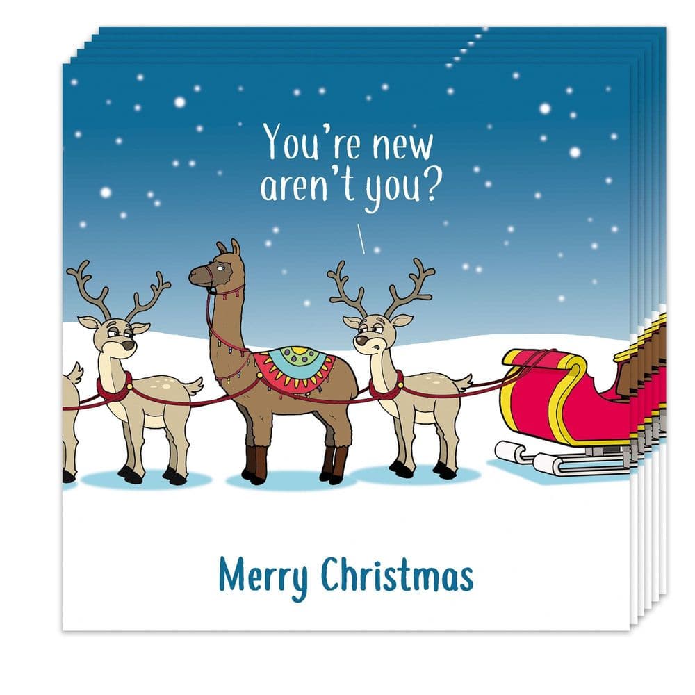 Pack Of 8 Funny Christmas Cards Pack Xmas Multipack Funny Cards Humour Cards Humour