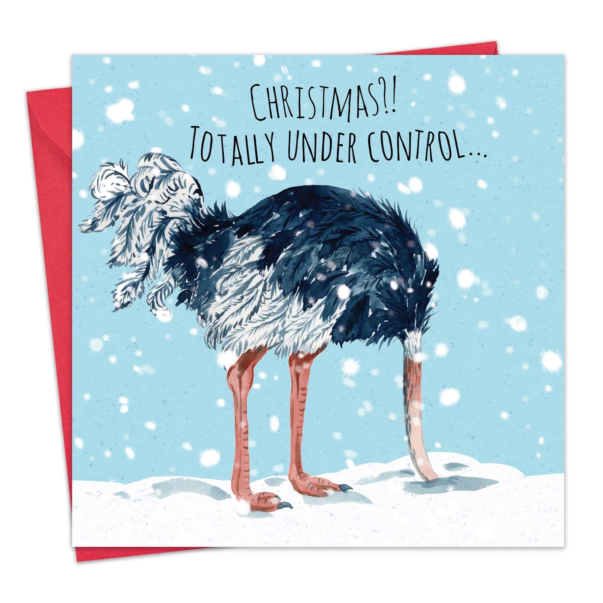 Pack of 8 Funny Christmas Cards Pack. Xmas Multipack. Funny Cards ...