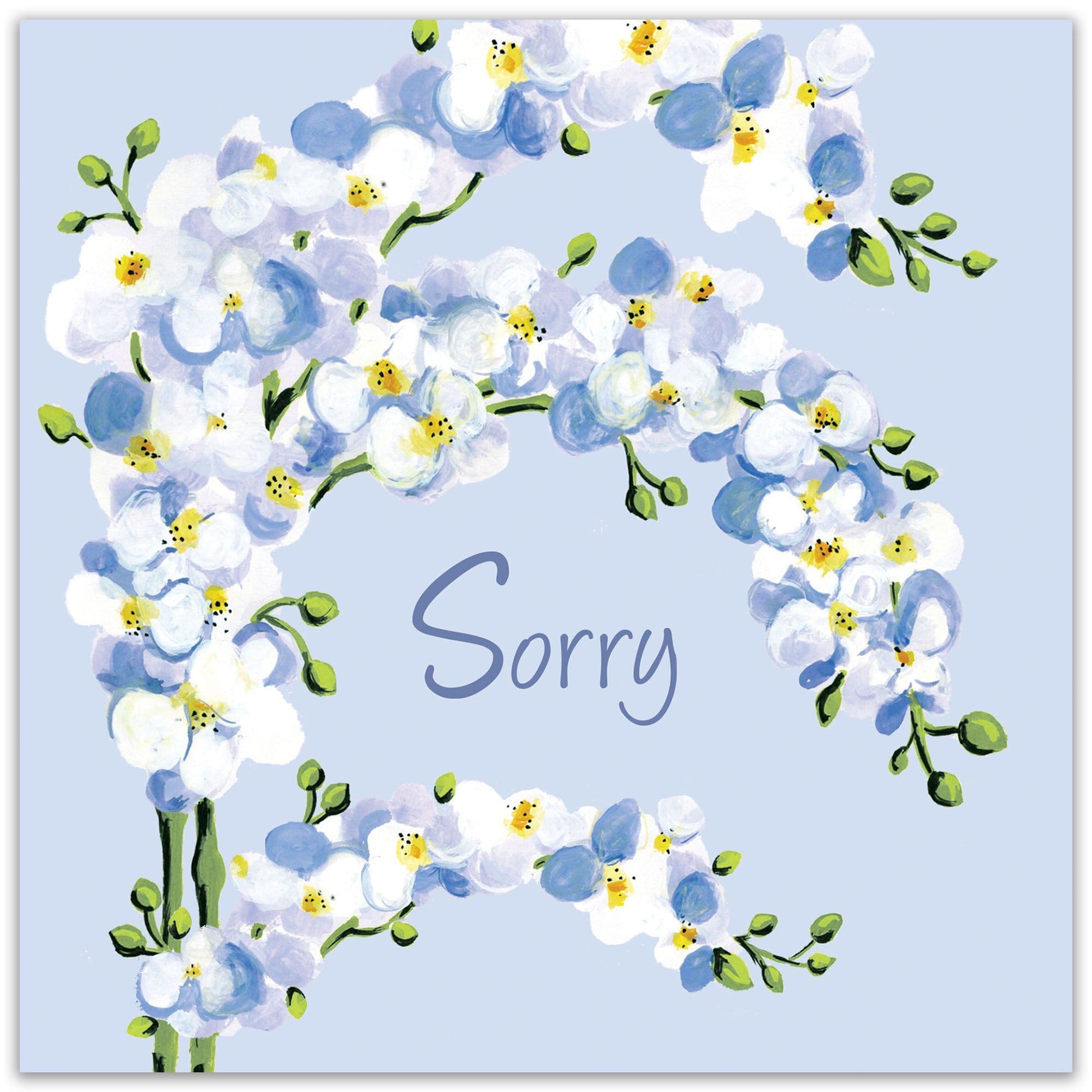 Occasion Cards. Sorry Cards. Apology Cards. Sympathy Cards. Thinking of ...