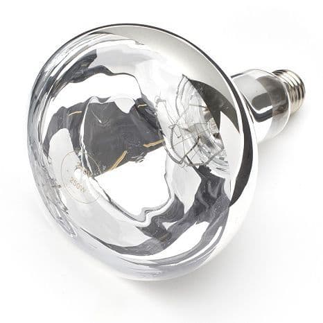Buffalo 250W Shatterproof Infrared Heat Lamp ES