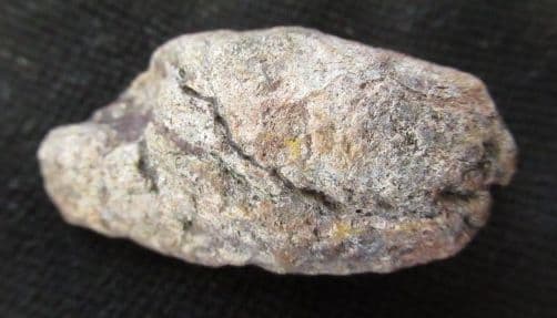 AMPHIBIAN / REPTILE COPROLITE FROM THE PERMIAN RED BEDS OF TEXAS