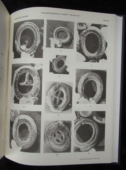 BRITISH LOWER CRETACEOUS COCCOLITHS GAULT CLAY m bLACK 1972 - 1975