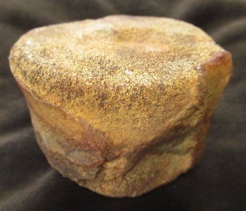 HEAVILY MINERALISED PLIOSAUR VERTEBRA - JURASSIC OXFORDSHIRE