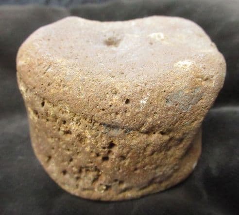 PLIOSAUR VERTEBRA - JURASSIC OXFORDSHIRE