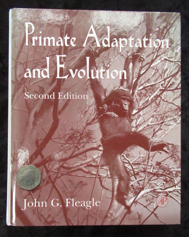 PRIMATE ADAPTATION AND EVOLUTION BY JOHN FLEAGLE 1999