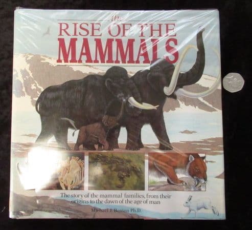 THE RISE OF THE MAMMALS BY MICHAEL BENTON 1991