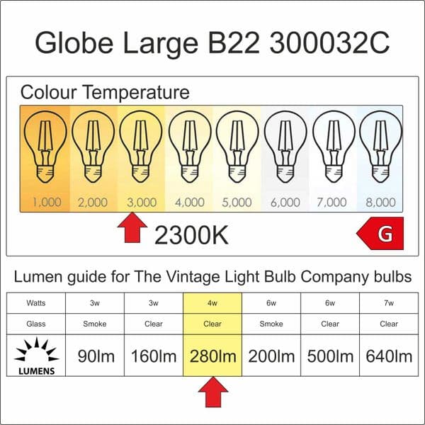 Globe Large LED B22 Spiral