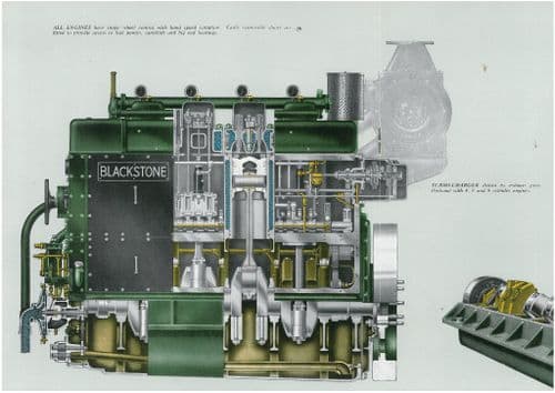 Blackstone EV & ER Vertical Diesel Engine Brochure - Generating Plant ...