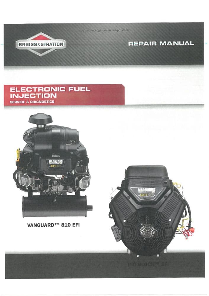 Briggs and Stratton Electronic Fuel Injection Engine Vanguard 810 EFI ...