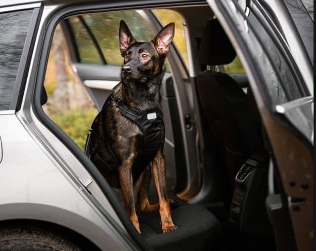 Rukka Car Harness - Black